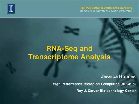 PPT RNA Seq And Transcriptome Analysis Essentials For Biotechnologists PowerPoint Presentation