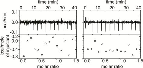 figures and data in binary architecture of the nav1 2 β2 signaling