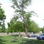 How To Identify Tree Defects And What To Do About It Purdue Extension Forestry Natural