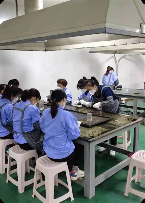 Top Lead Dioxide Coated Dsa Anodes Supplier Hele Titanium