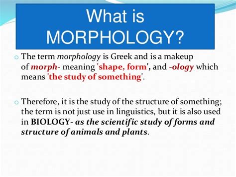 Morphology Definition