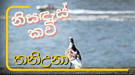 සොබාදහමේ මෙවැනි වෙන්වීම් තියනවා නේද නිසඳැස් කවි Sinhala Nisadas