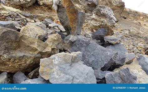 Paleontology Dig Fossil Excavation And Extraction Stock Video Video Of Hunters Extinction