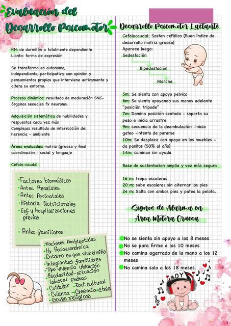 Desarrollo Psicomotor ⚕️📝maryfenotesmaría Ovalle📝🩺 Udocz
