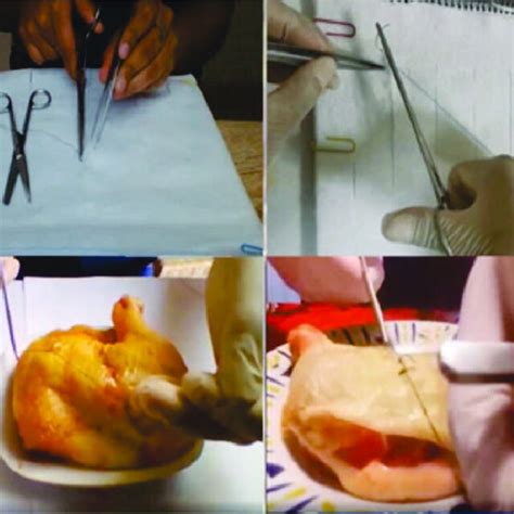 Simulation Models For Sutures In Synchronous Classes Download Scientific Diagram