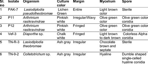 A Comparison On Morphological Characters Of Different Endophytic Fungal