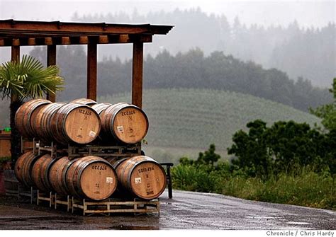 The Fog Chasers The Wines Of Sonoma Countys Green Valley Ava Receive