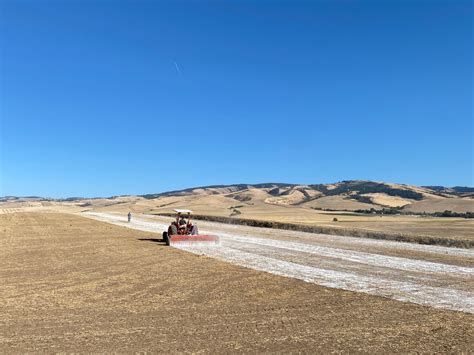 Acidic Soils Solutions A Soil Acidity Management Workshop Series CAHNRS News Washington