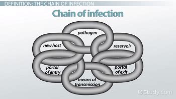 Chain Of Infection Definition Order And Transmission Lesson