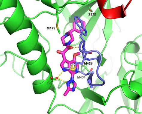 Hiv 1 Gp120 Sensitivity Linked To Binding On Rate