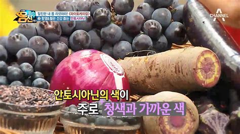 항염효과로 혈관 건강 돕는 식물은 힌트 보라색 네이버 Tv