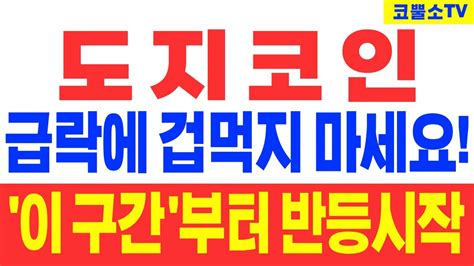 도지코인 급락에 겁먹지 마세요 이 구간부터 반등시작 Youtube