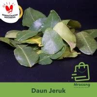 Jual Daun Jeruk Murah Harga Terbaru 2020
