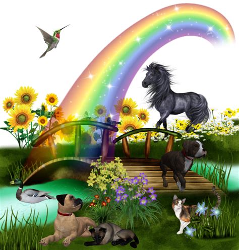 Погода облака радуга дождь Природа кроме цветов и животных Кира скрап Png ПНГ