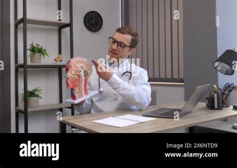 Auditory System Structure Stock Videos And Footage Hd And 4k Video