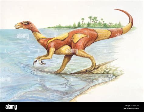 Segnosaurus Galbinensis Immagini E Fotografie Stock Ad Alta Risoluzione Alamy