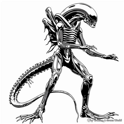 Alien Xenomorph Coloring Pages Creative Fun For Fans Of The Xenomorph