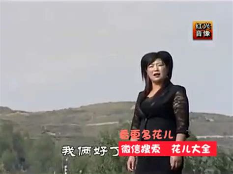 青海花儿柔情花儿把心牵王秀 腾讯视频