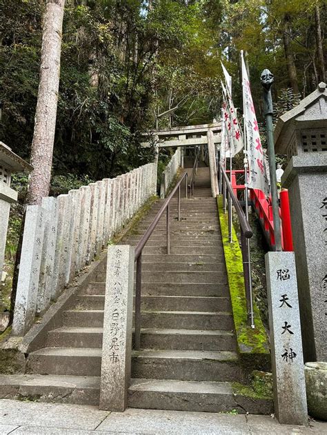 〈吉野町〉頭を割られた蛇を祀る頭脳の守り神『脳天大神龍王院』 奈良の地域密着型・総合情報サイト Narakko （奈良っこ）