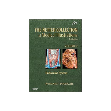 预订 The Netter Collection Of Medical Illustrations The Endocrine System