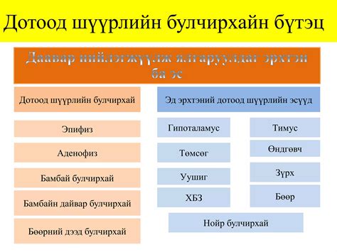 Лекц №4 2 Дотоод шүүрлийн эрхтний гистологи Pptx