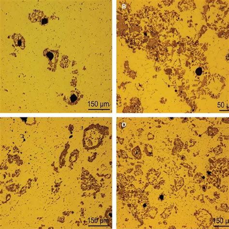 Optical Micrographs Of The Composite Containing Different Weight