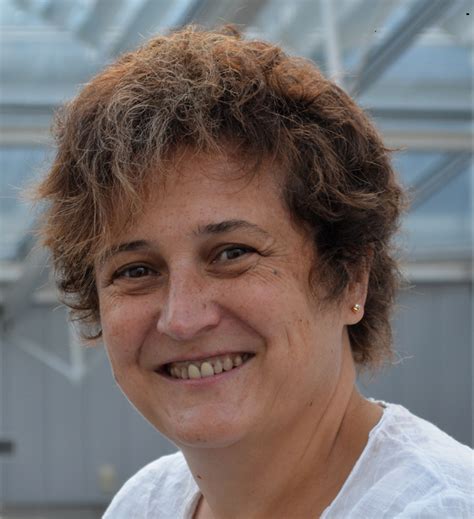 Conseil d Administration ASFERA Association Française d Etudes et