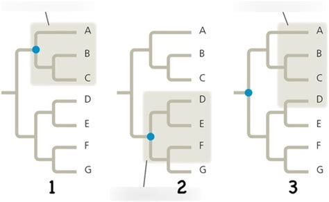 Biol 1030 Exam 1 Choi Flashcards Quizlet