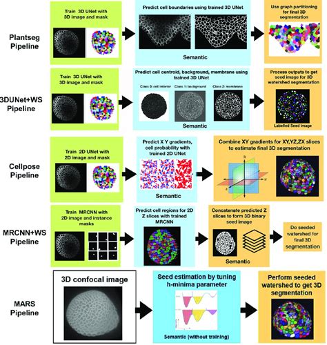 Displaying All The 3d Segmentation Pipelines Together The Green Download Scientific Diagram