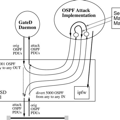 Ospf Attack Implementation Download Scientific Diagram