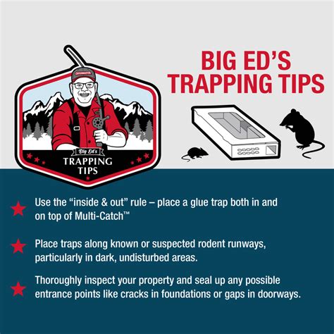 Catchmaster Pro Series Multi Catch Indoor Outdoor Metal Mouse Trap Glue Board Included