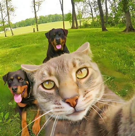 Arduino蓝牙模块使用方法 Df创客社区