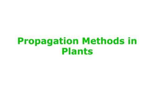 Propagation Methods In Plants Pptx Infertility Reproductive Health