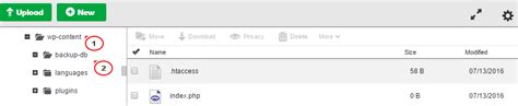 Is There Anyway To Setup Automated WordPress Database Backups