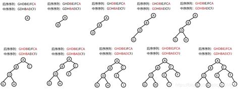 数据结构（十二）二叉树—— 二叉树的逆推构建二叉树 广搜结果逆推二叉树 Csdn博客