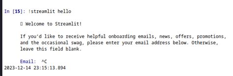 Freezing On Initial Execution At Email Prompt Using Streamlit Streamlit