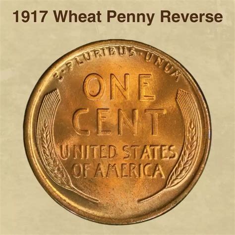 1917 Wheat Penny Coin Value Errors List D S And No Mint Mark Worth