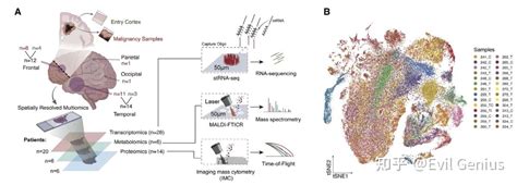 空间转录组基础分析之整合篇 知乎