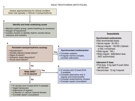 Cardiac Arrhythmia 1 Pptx