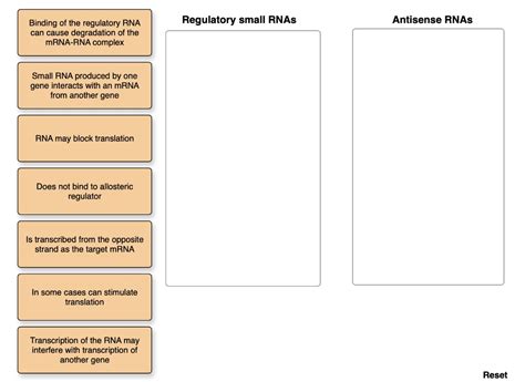 Solved Binding Of The Regulatory Rna Can Cause Degradation Of The Mrna