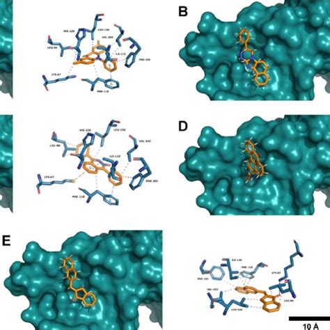 Protein−ligand Interactions Post Autodock Vina Screening Top Five Download Scientific Diagram