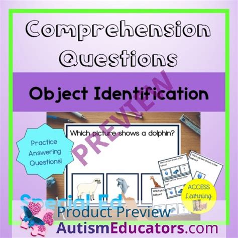 Comprehension Object Identification Questions Leveled Special Education