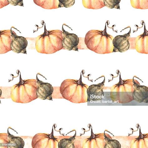 원활한 호박 줄무늬 패턴입니다 격리된 흰색 배경입니다 수채화 그림입니다 손 그리기 10월에 대한 스톡 벡터 아트 및 기타 이미지 10월 11월 9월 Istock