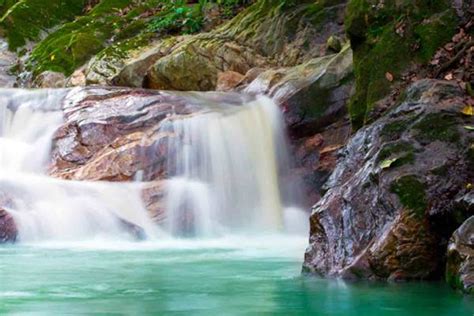 ¿qué Hacer En Minca Colombia