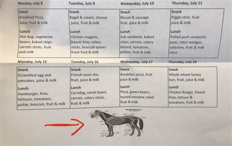 This Summer Camp Menu R Crappydesign