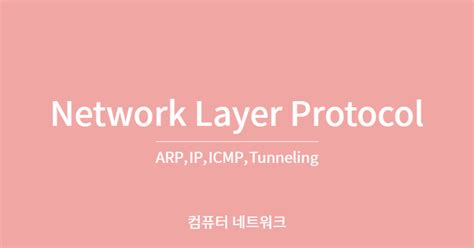 4 Network Layer Protocol
