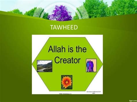 Tawheed Pptx