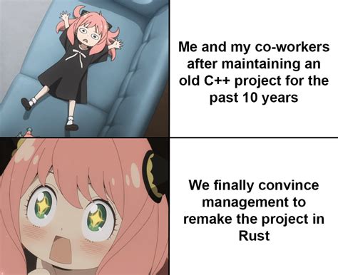 rewriting an old c project in rust programmeranimemes