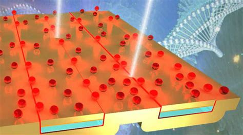 Scientists Develop New Optical Device That Can Detect Drugs Explosives Technology News The