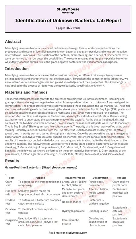 Unknown Lab Report Microbiology Free Essay Sample